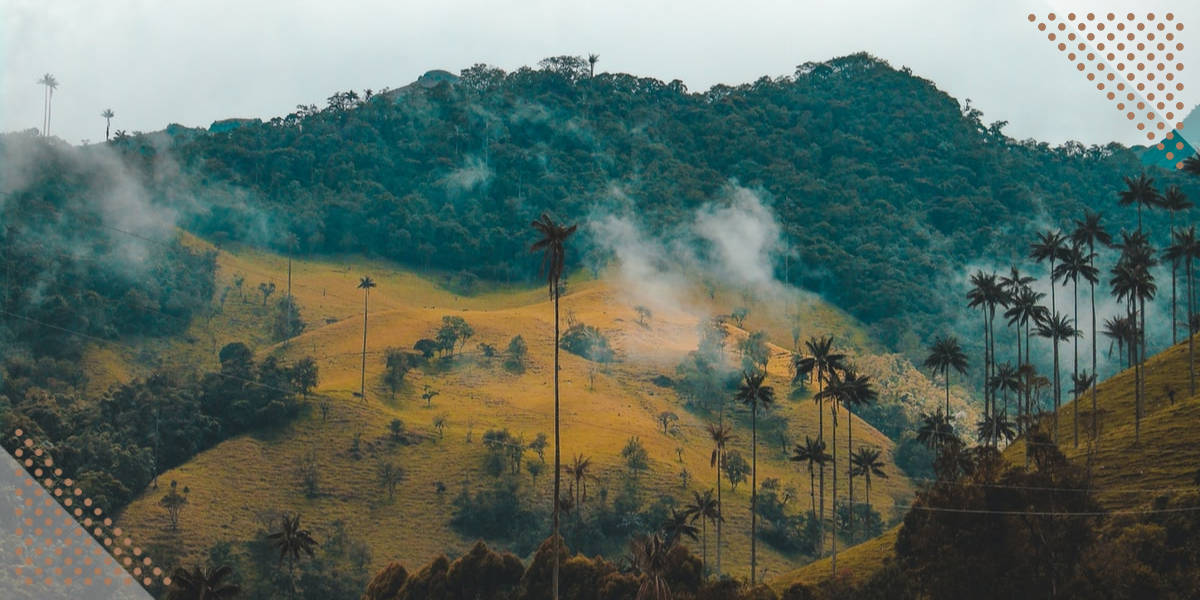 Best Time Of Year To Visit Colombia - Max Wanger Blog